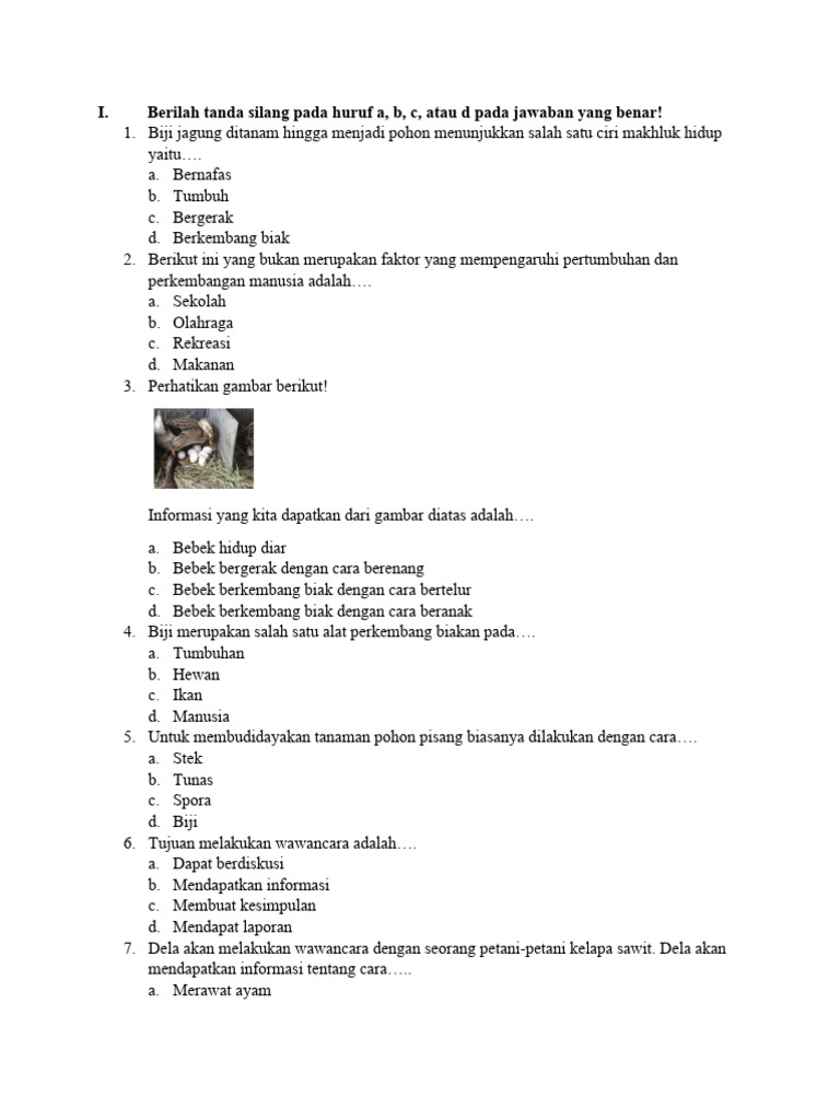 Soal Pas Bahasa Indonesia | PDF | Seni & Disiplin Bahasa | Griya & Taman