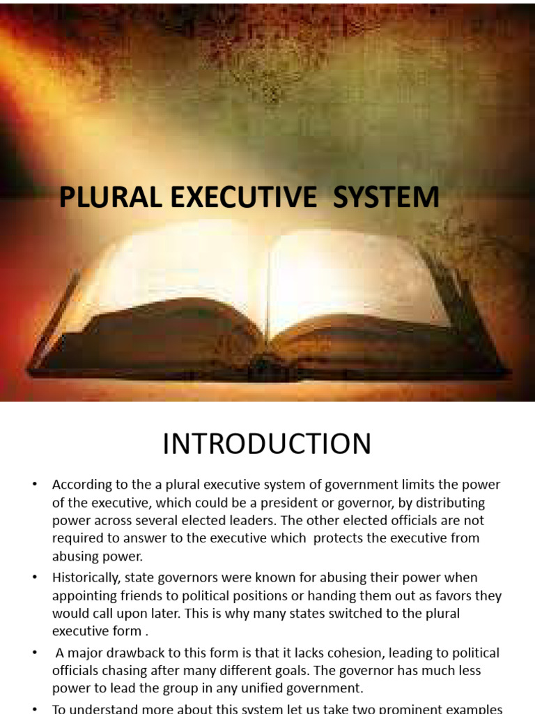 SWISSPLURALEXECUTIVE | PDF | Government | Public Law