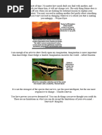Just for Today: Daily Happiness Guide | PDF