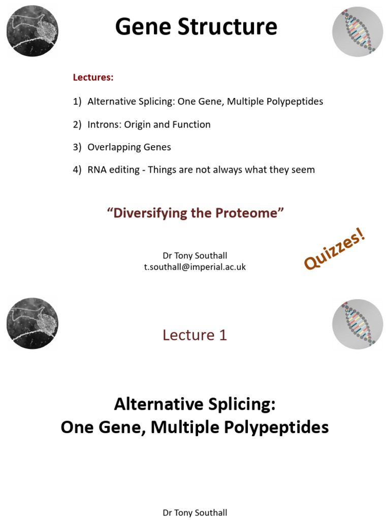 Gene Structure Lecture 1 | PDF | Alternative Splicing | Rna Splicing
