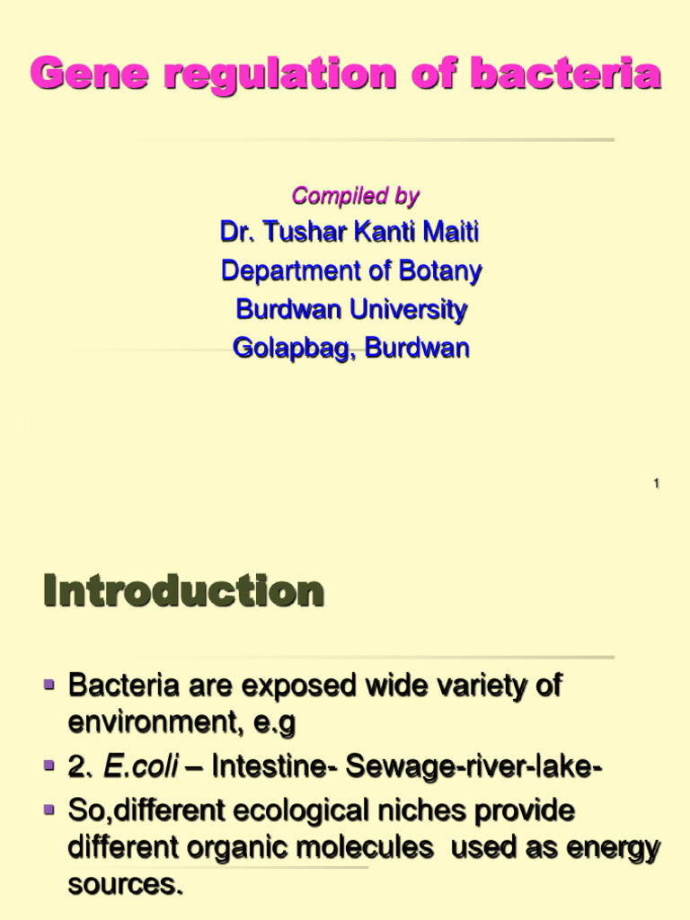 Bacterial Gene Regulation Mechanisms | PDF | Operon | Gene