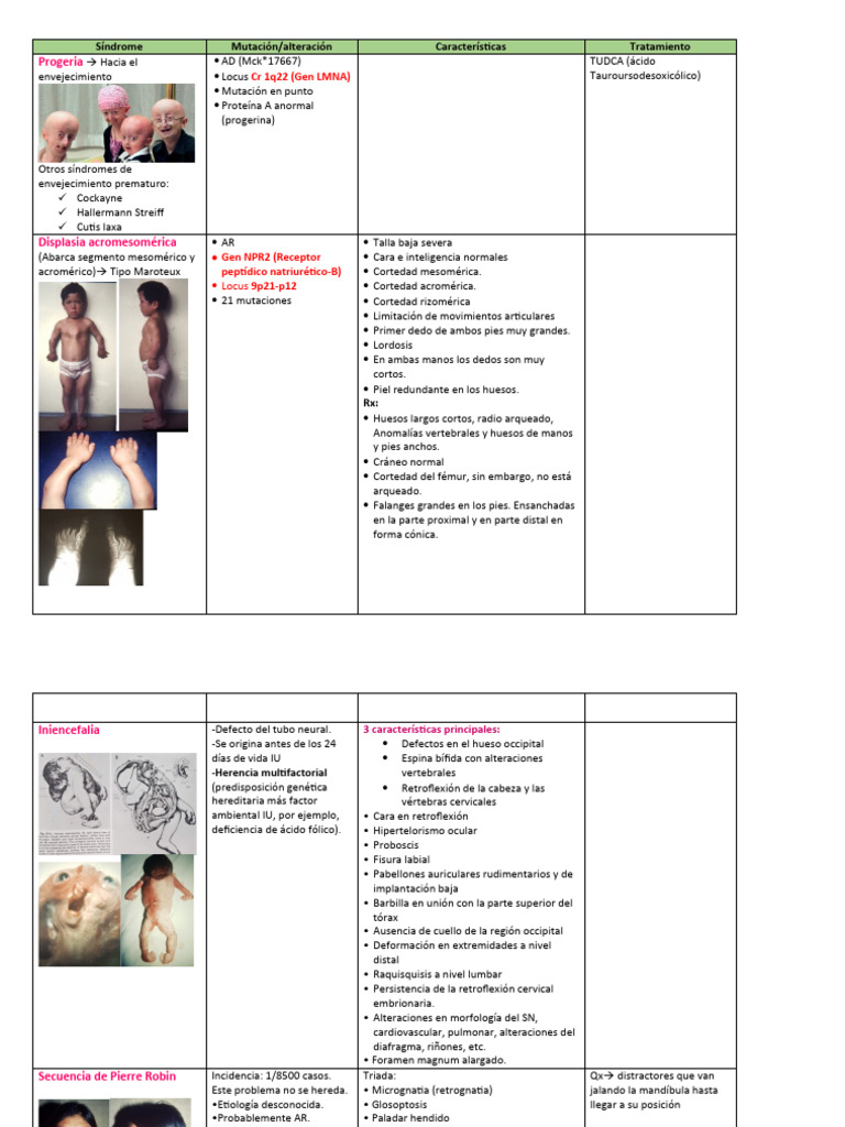 Guía Primer Parcial-Síndromes | PDF | Síndrome de Down | Mutación