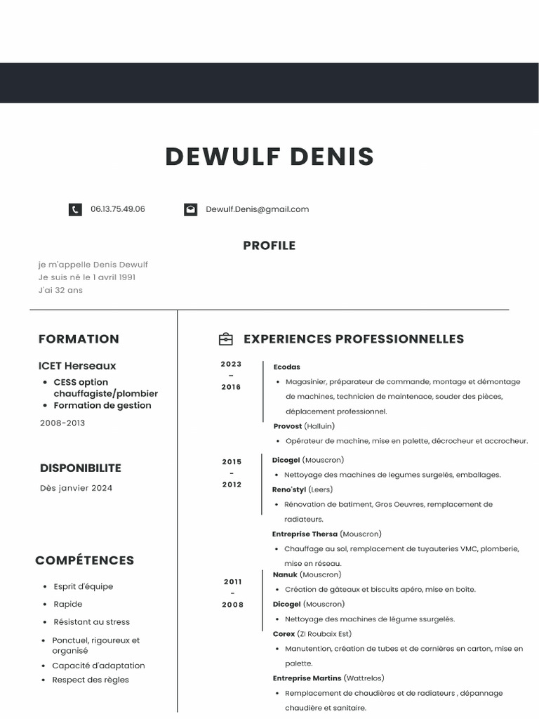 CV DENIS | PDF