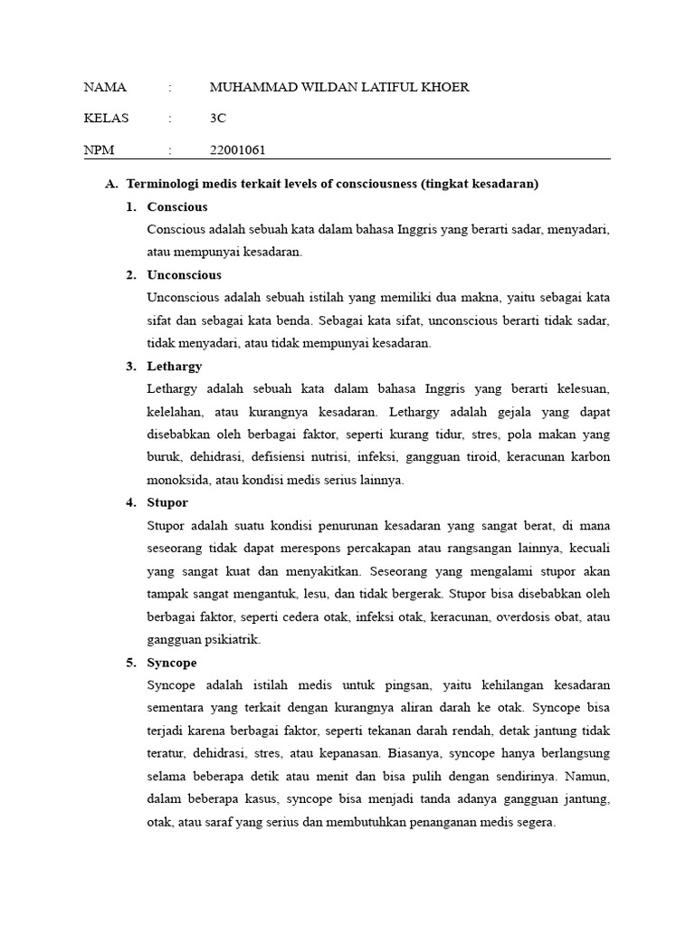 Tugas Termin - Muhammad Wildan LK - 3c - 22001061 | PDF