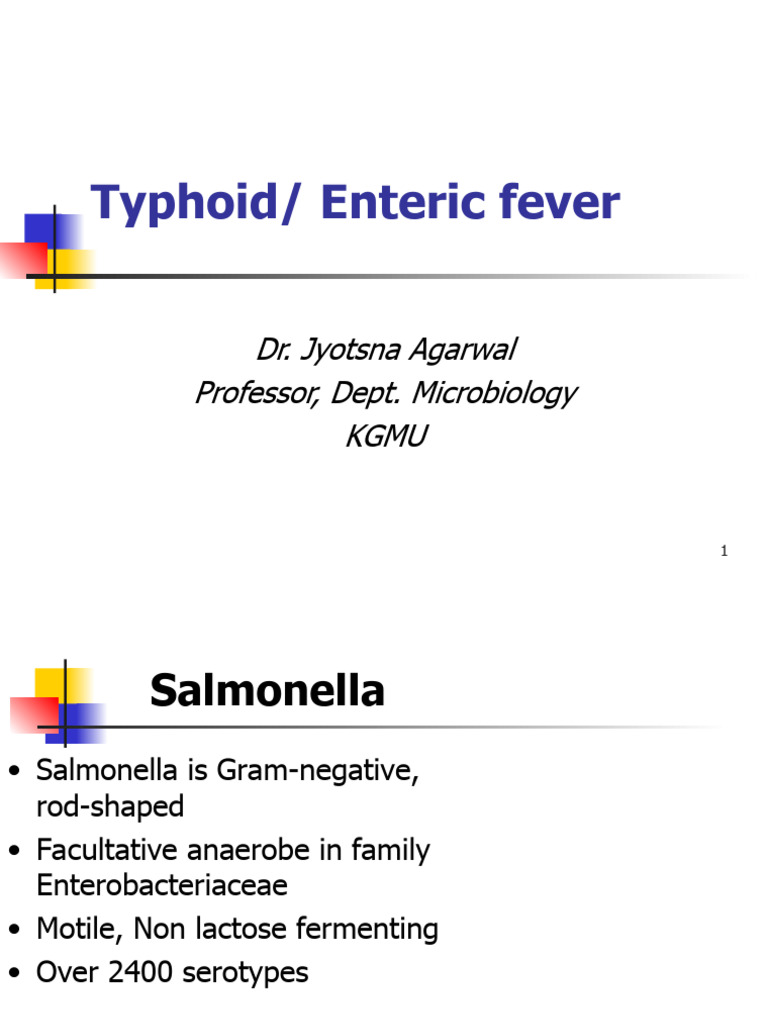 Salmonella Lecture | PDF | Salmonella | Foodborne Illness