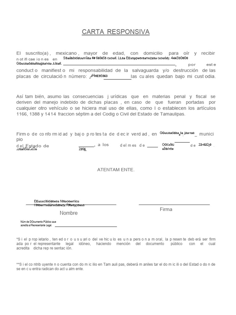 Carta Responsiva | PDF