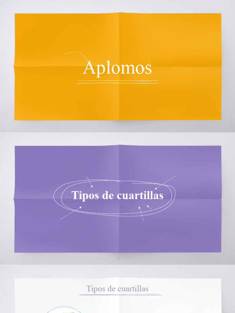 Anatomía Del Caballo | PDF | Rodilla | Articulaciones