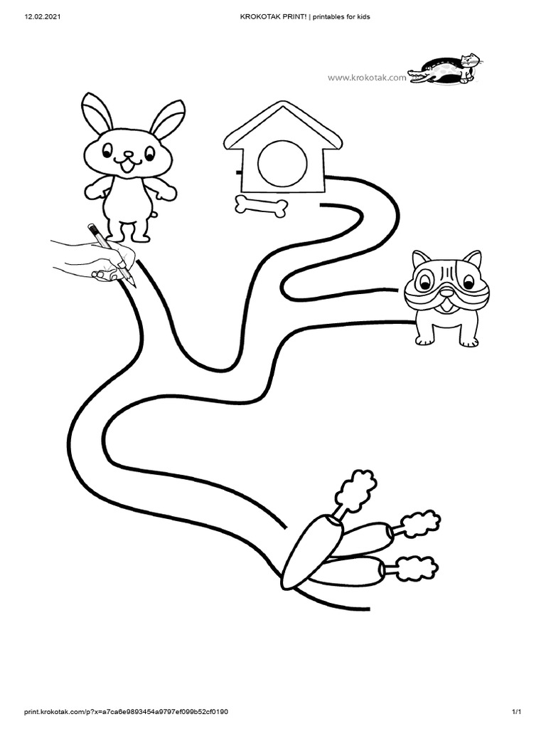 Labirint Iepure | PDF