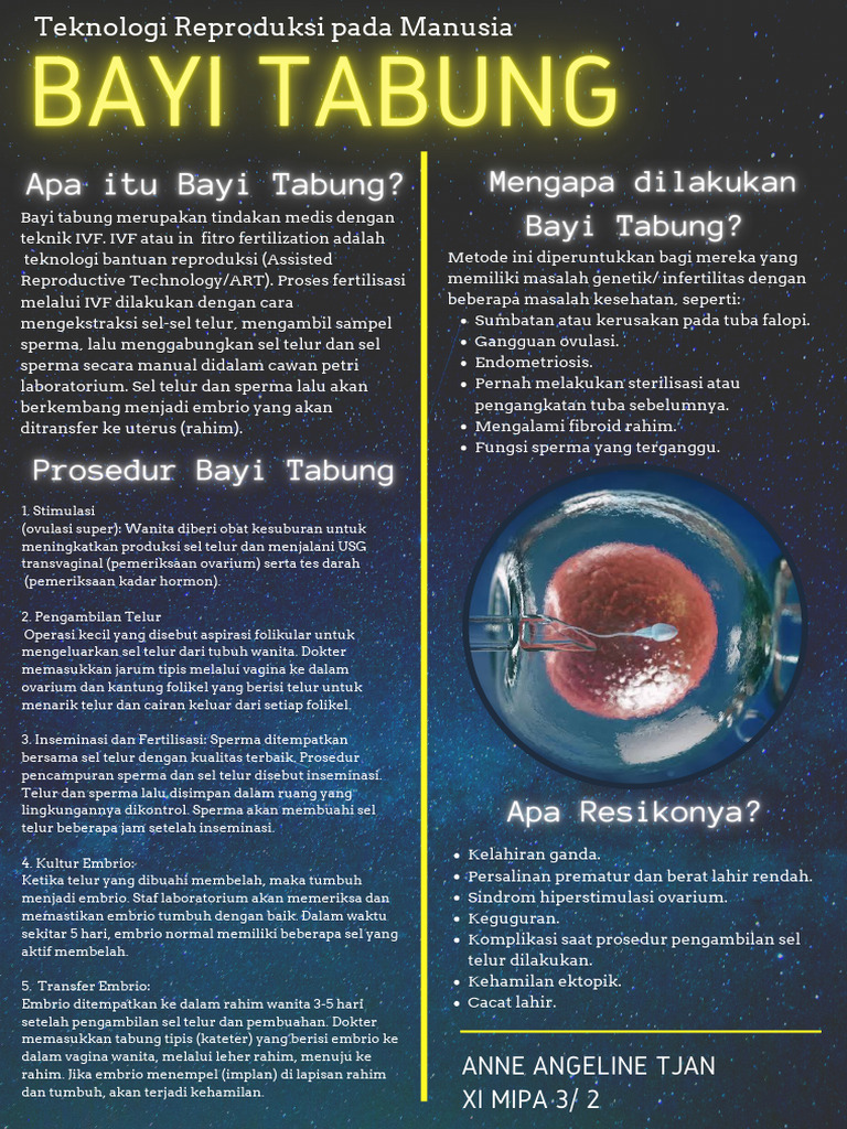 Infografik Bayi Tabung | PDF