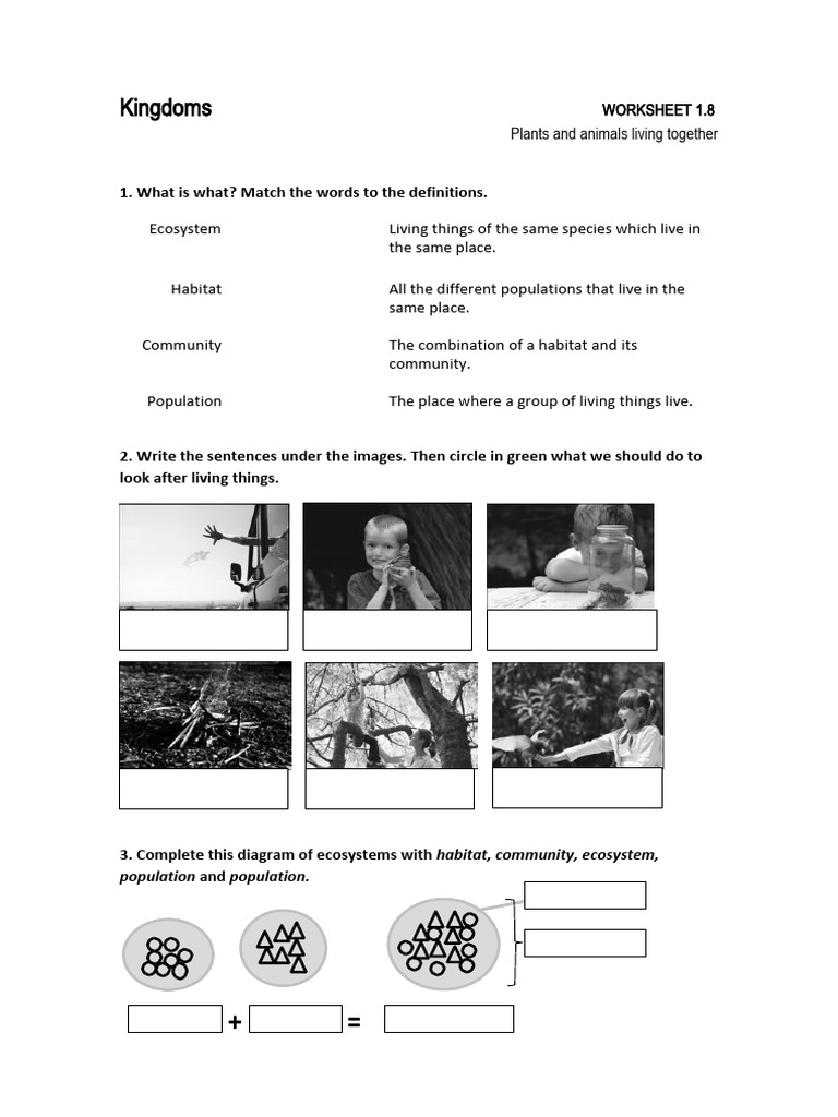 ns4 m1 U01 Worksheet 18 | PDF | Habitat | Ecosystem