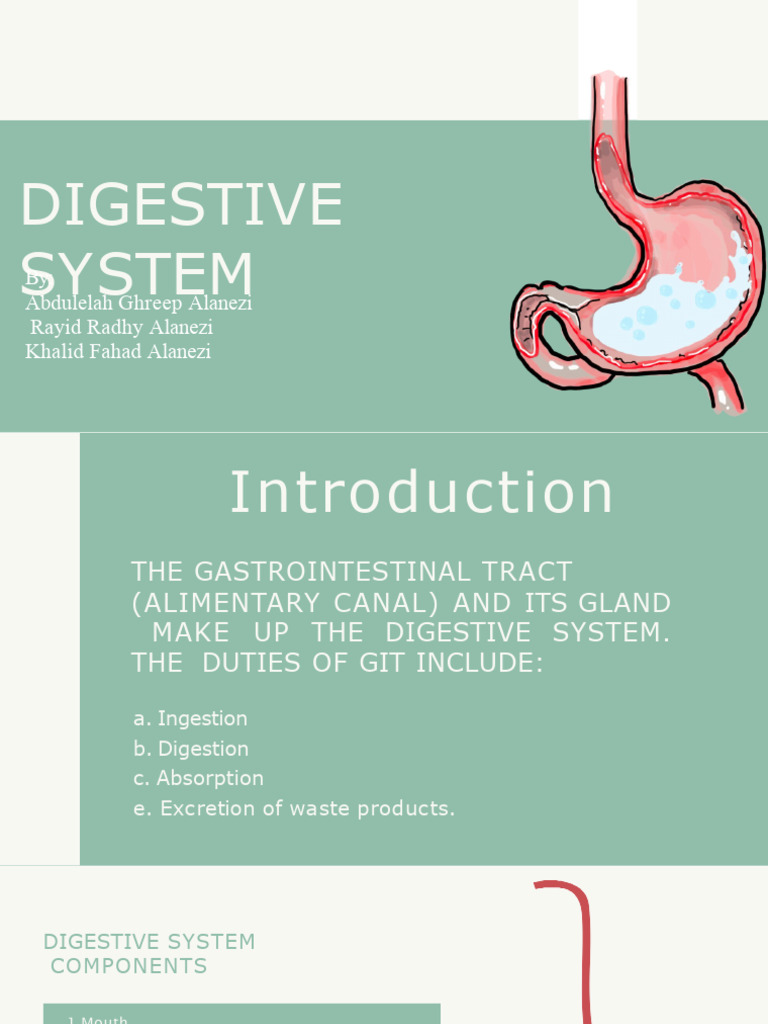 Endocrine Function of Digestive System. 2 | PDF | Stomach | Human ...