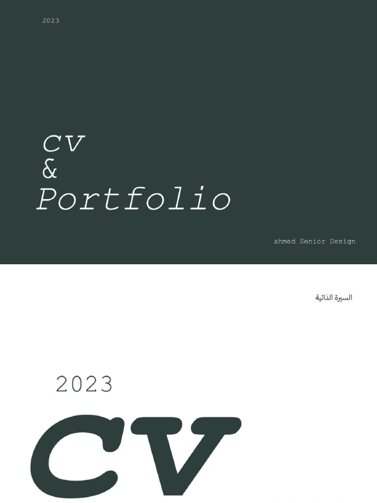 Ahmed Omar - Portfolio 2023 | PDF