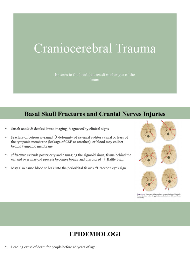 Craniocerebral Trauma | PDF | Traumatic Brain Injury | Concussion