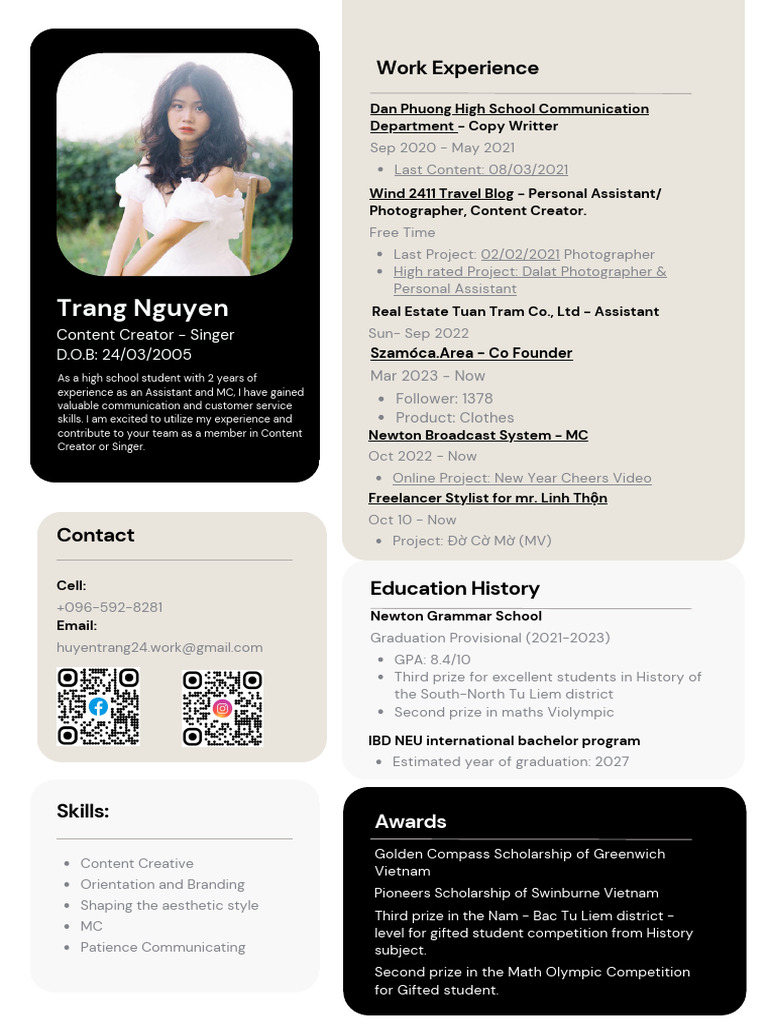 CV for VIBES | PDF | Human Communication | Mass Media