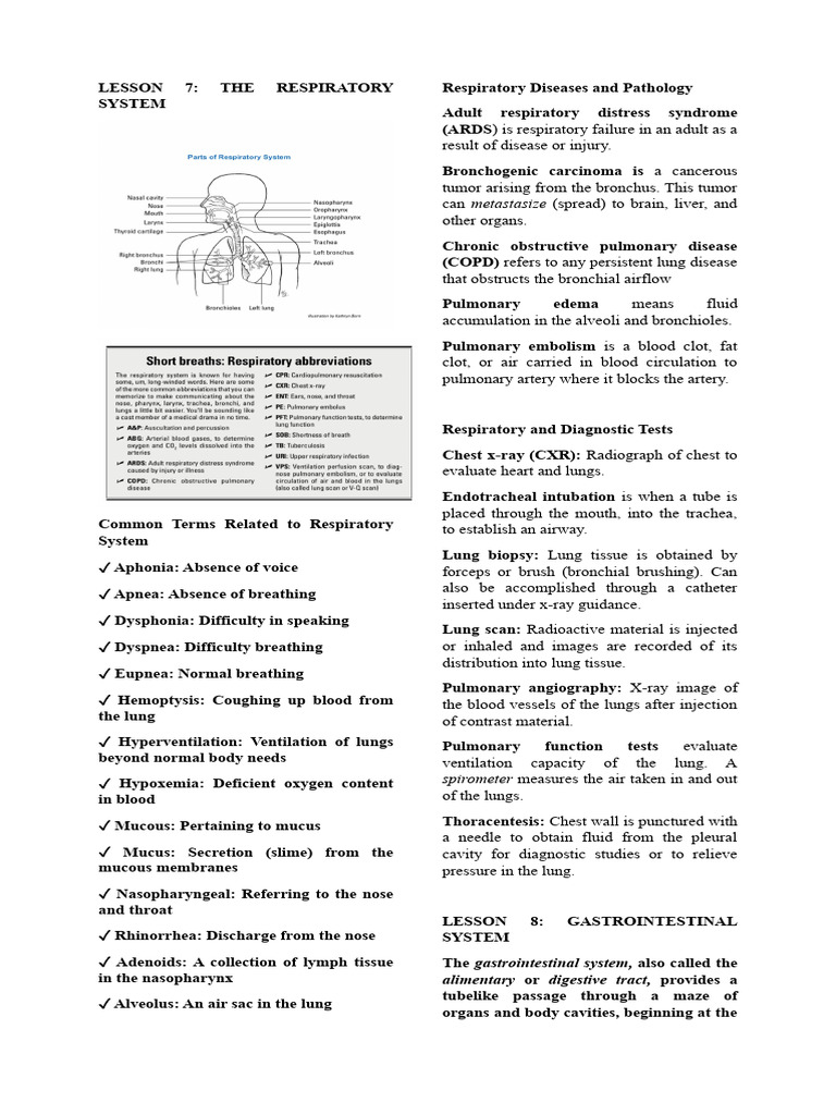 Medical Terminology | Download Free PDF | Lung | Respiratory Diseases