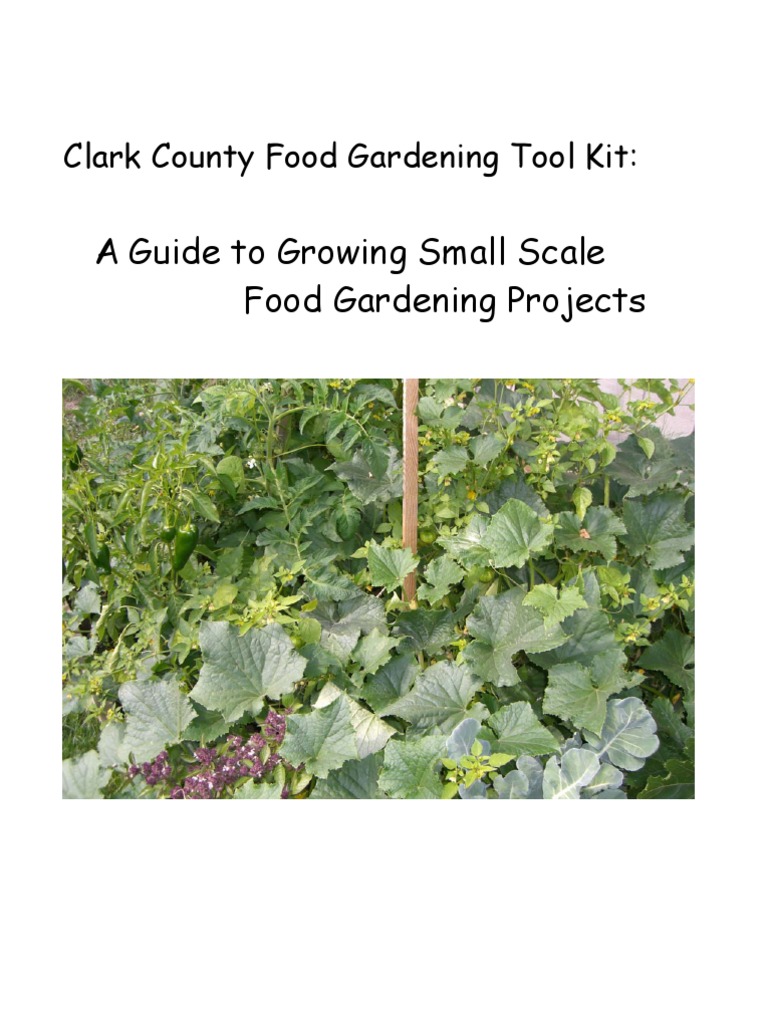 A Guide To Growing Small Scale Food Gardening Projects - Food Gardening ...
