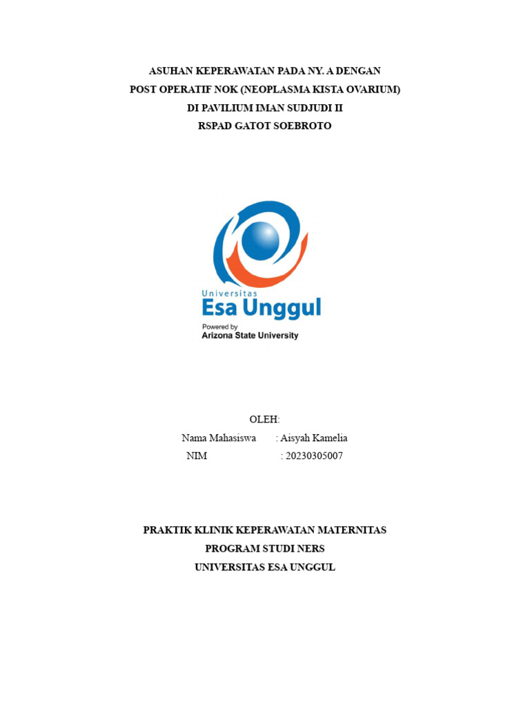Askep Minggu Pertama Ny Aidar Pis 2 | PDF