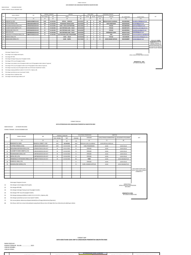 Format Data Asn Sekolah | PDF