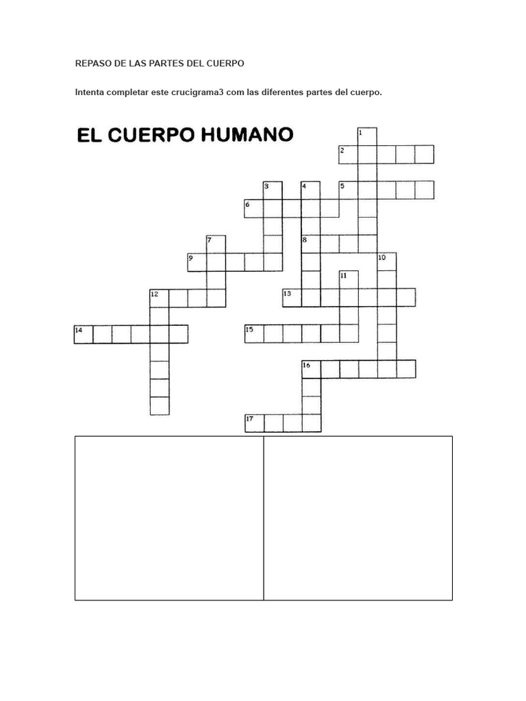 Crucigrama de Partes del Cuerpo y Salud | PDF