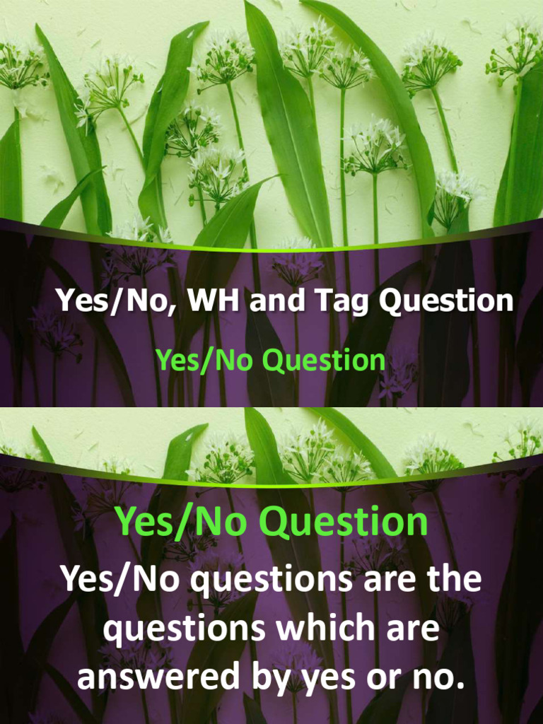 Yes No, WH, Tag Questions | PDF | Language Mechanics | Linguistic Typology