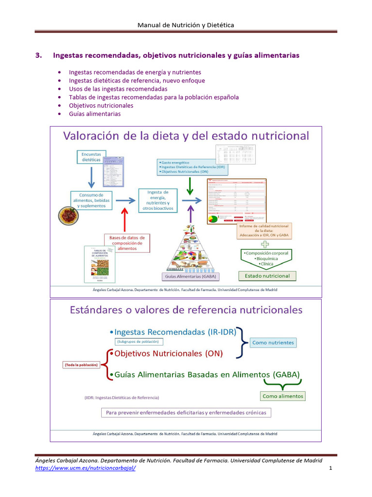 Ingestas Recomendadas | PDF