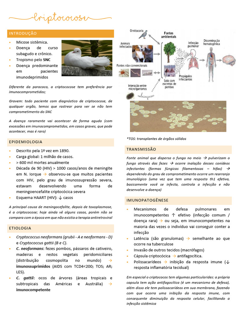 Criptococose: Diagnóstico e Tratamento | PDF | Epidemiologia ...