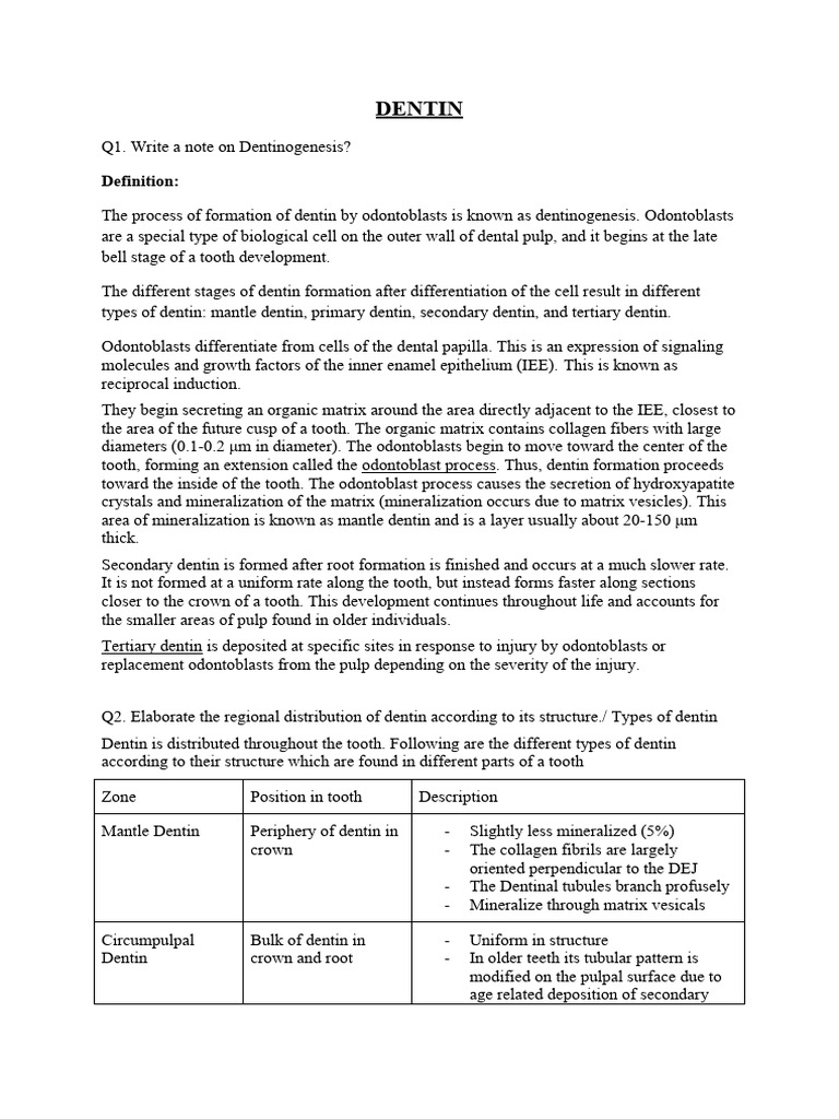 Dentin | PDF