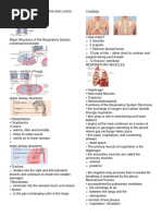 O2 Therapy Checklist | PDF | Health Care | Medicine