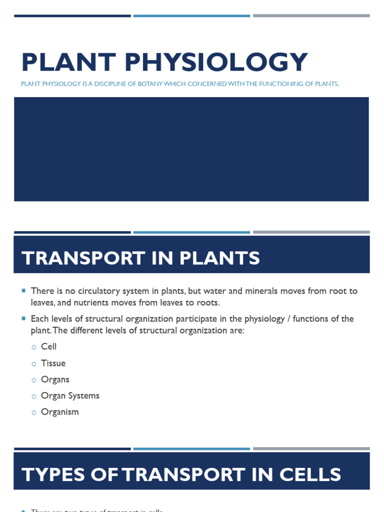 BOTANY-LEC-Plant Physiology | PDF