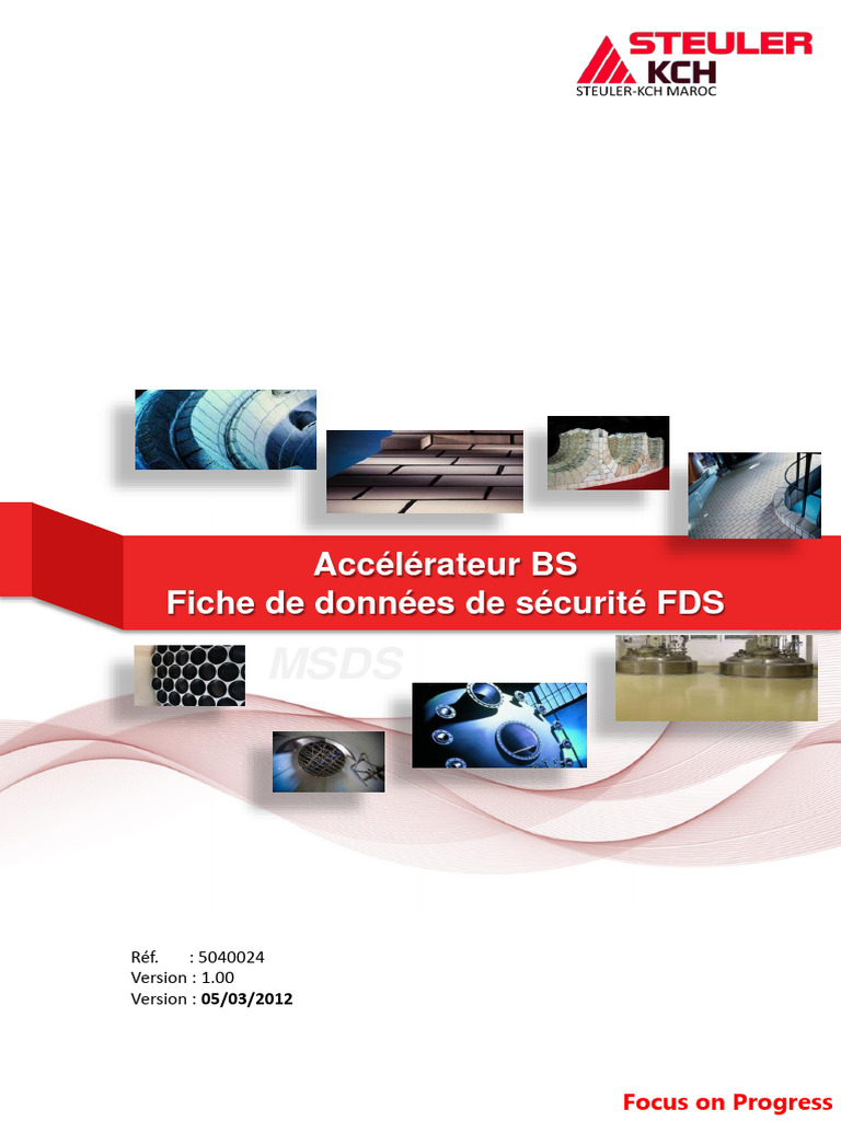 STEULER Accelerator | PDF