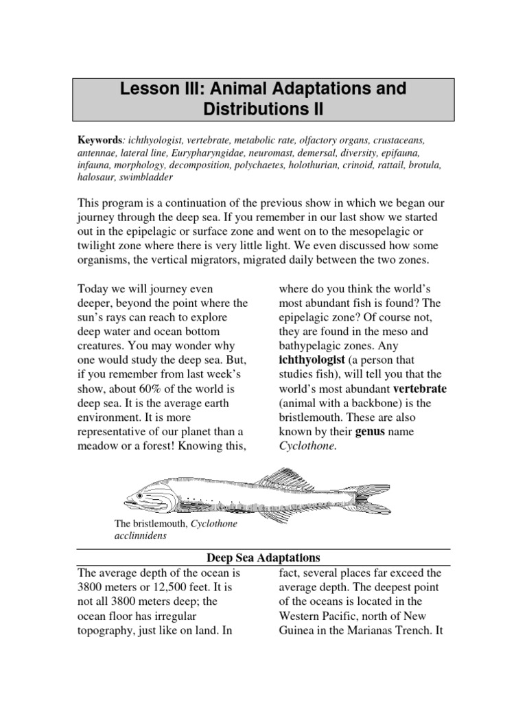 Adaptation of Marine Organisms | PDF | Hydrothermal Vent | Sea