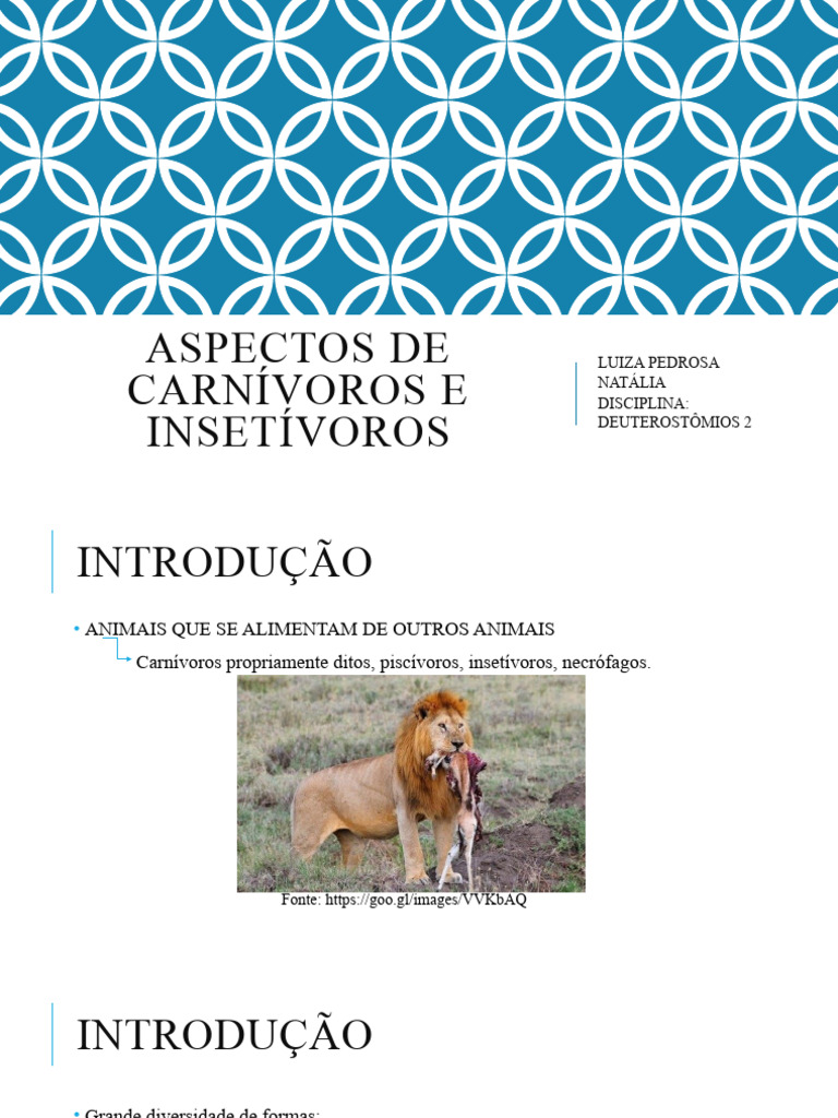 Aspectos de Carnívoros e Insetívoros | PDF | Dente | Mamíferos