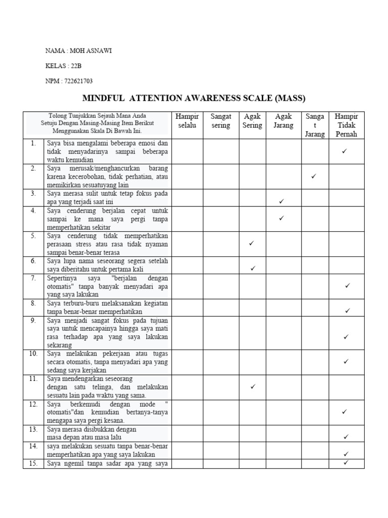 Instrumen Mengukur Self Awareness, Satisfaction of Life, Dan Self ...