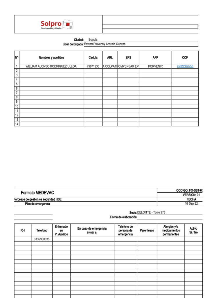 Fo-Sst-0056 Formato Medevac | PDF
