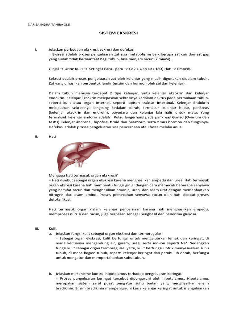 Perbedaan Ekskresi, Sekresi, dan Defekasi | PDF