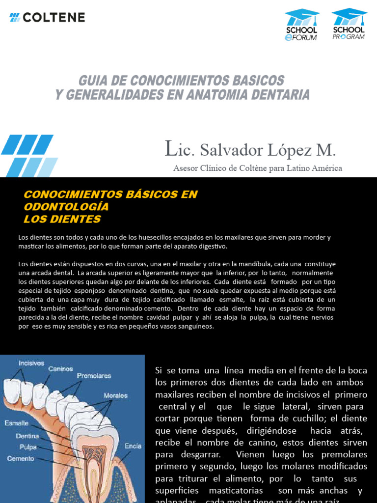 Guia de Conocimientos Basicos | PDF | Diente | Boca