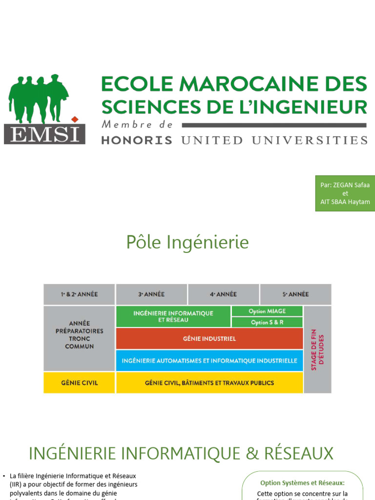 Emsi Rs | PDF | Système d'information | Développement de logiciel