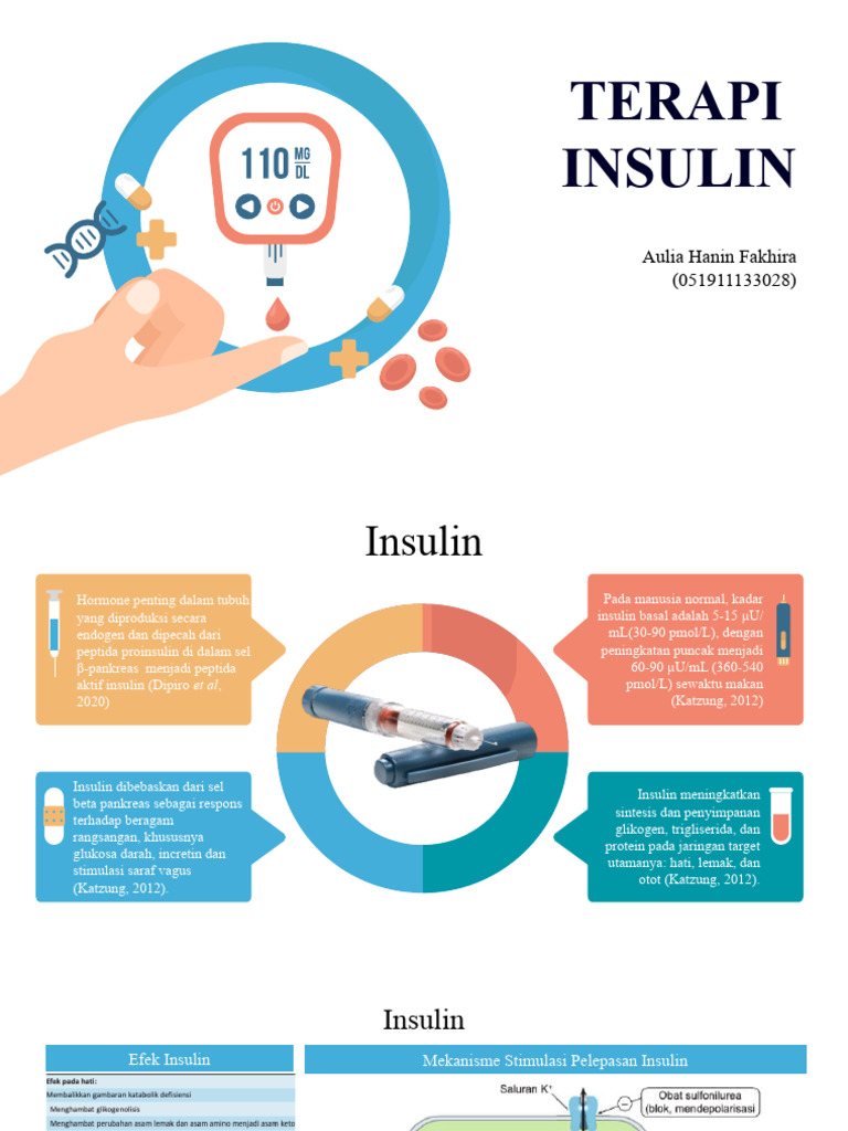 Terapi Insulin (Revisi) | PDF