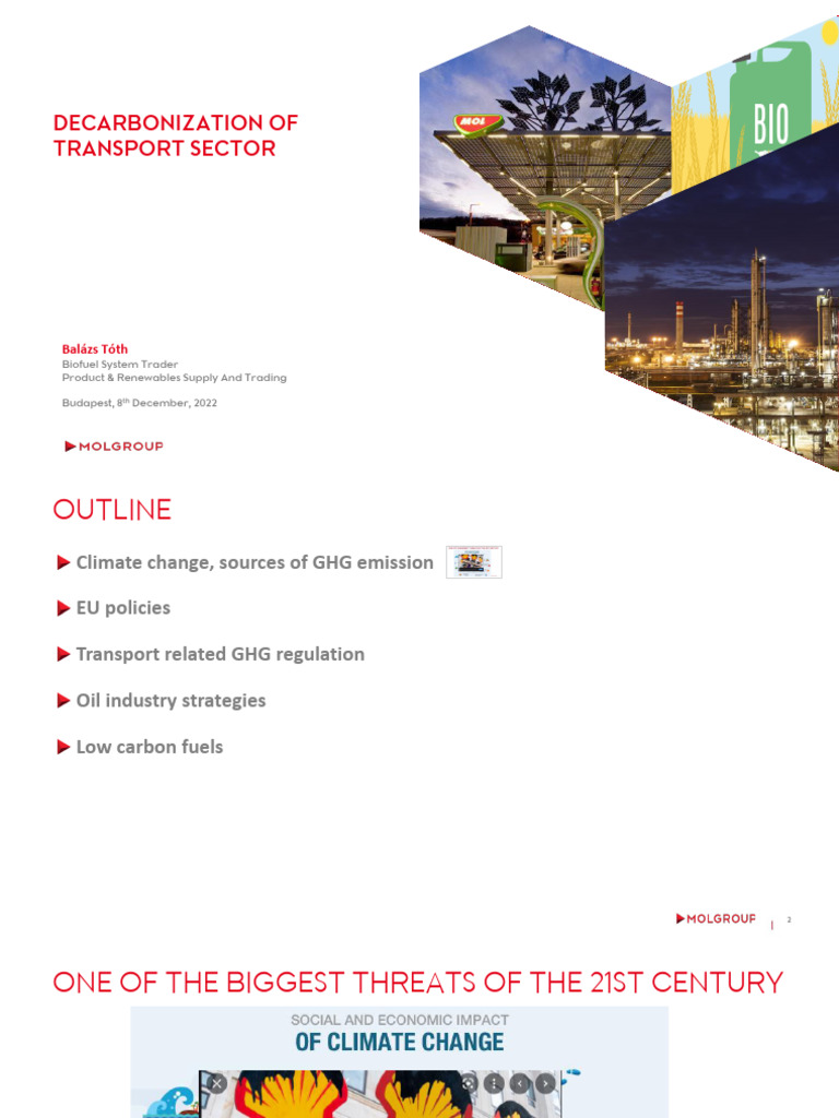 Decarbonizing the Transport Sector | PDF | Biofuel | Biodiesel