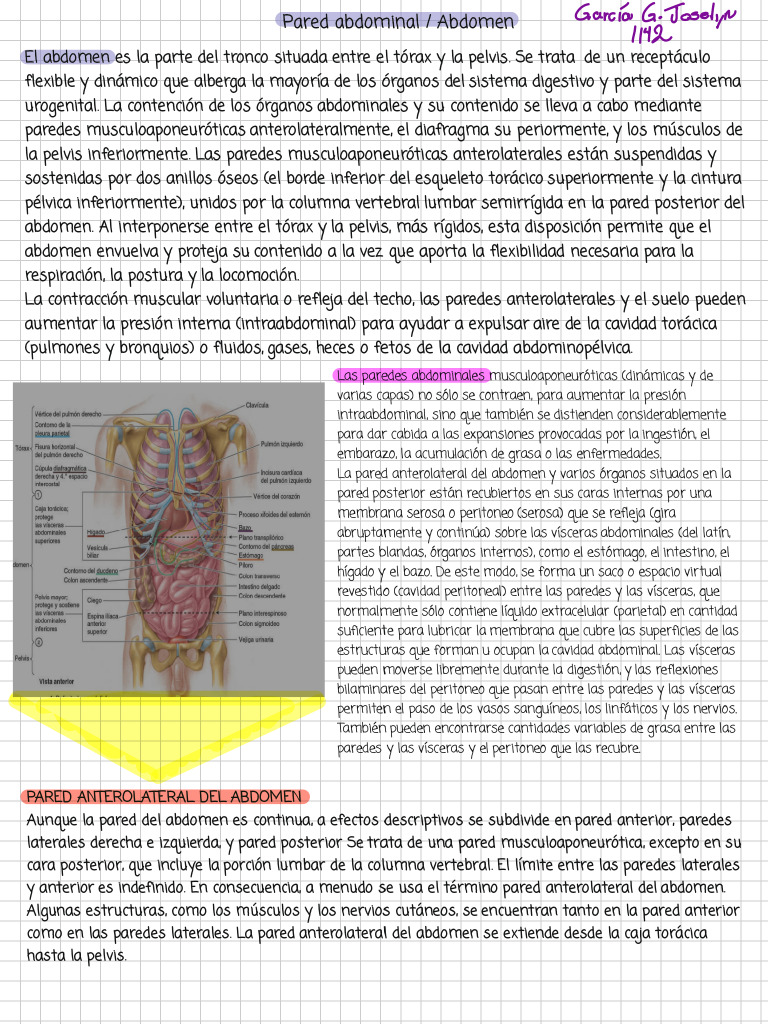 Anatomia 1 Pdf