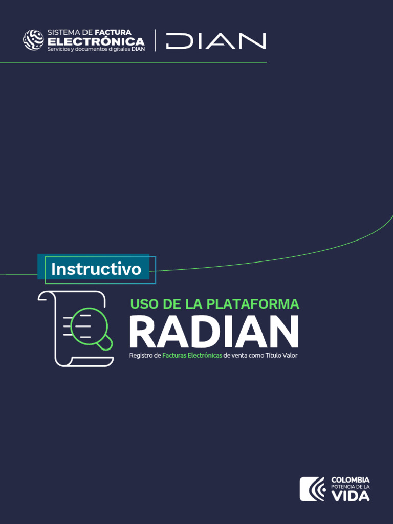 Instructivo RADIAN | PDF | Finance & Money Management