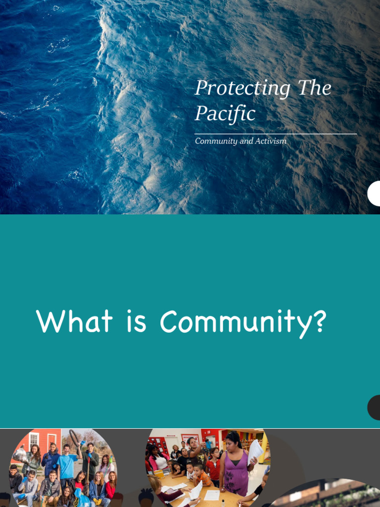 Community Activism Presentation Main Lower Quality | PDF