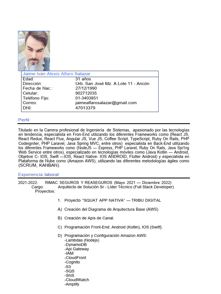 Cv-Jaime Alfaro | PDF