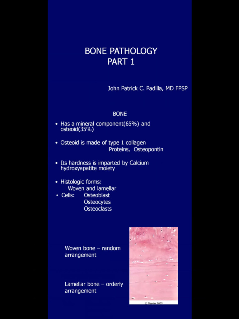 LBone Pathology - 1 & 2 by Dr. Padilla | PDF