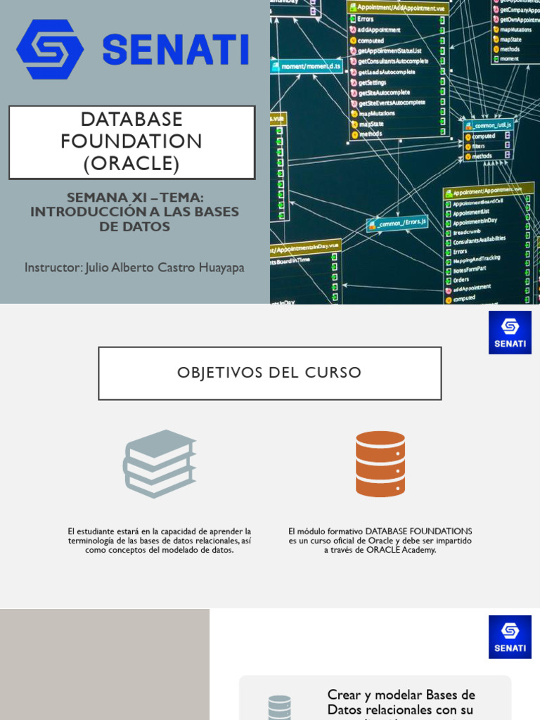 Database Foundation (Oracle) Semana XI | PDF