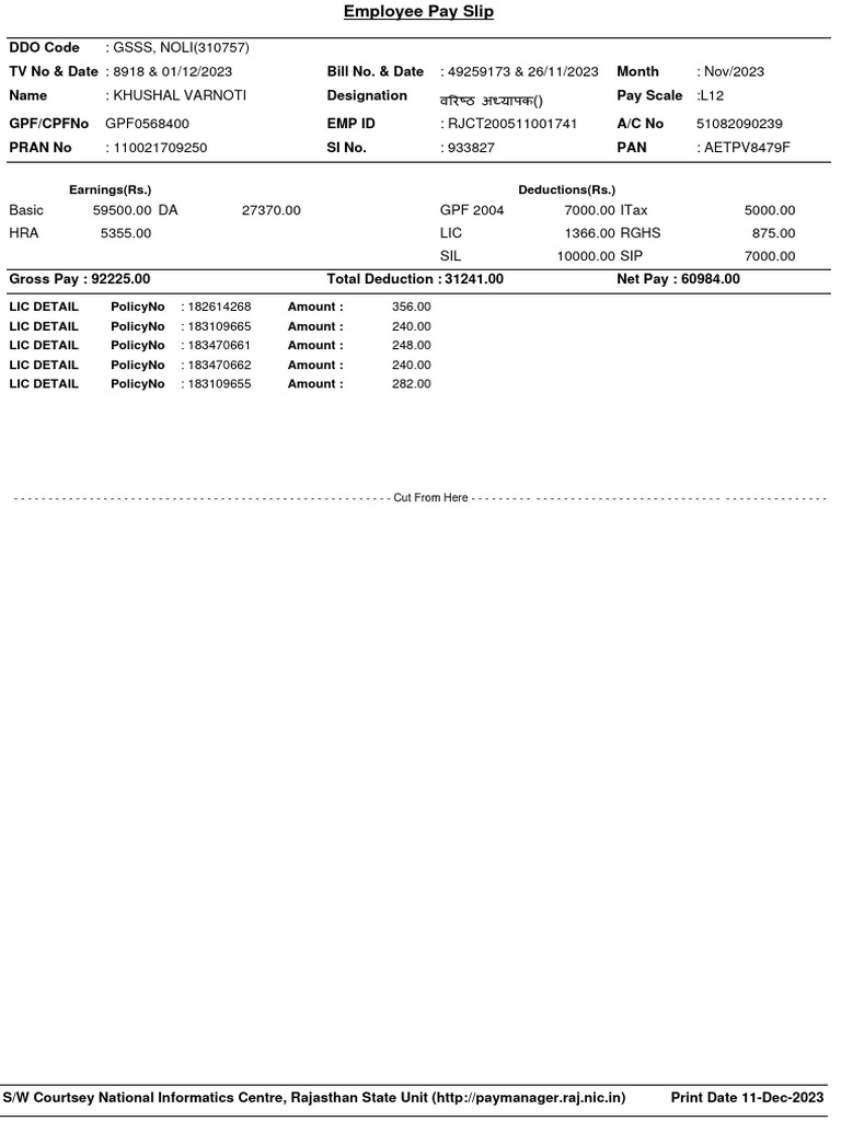 Pay Slip DDOWise PDF