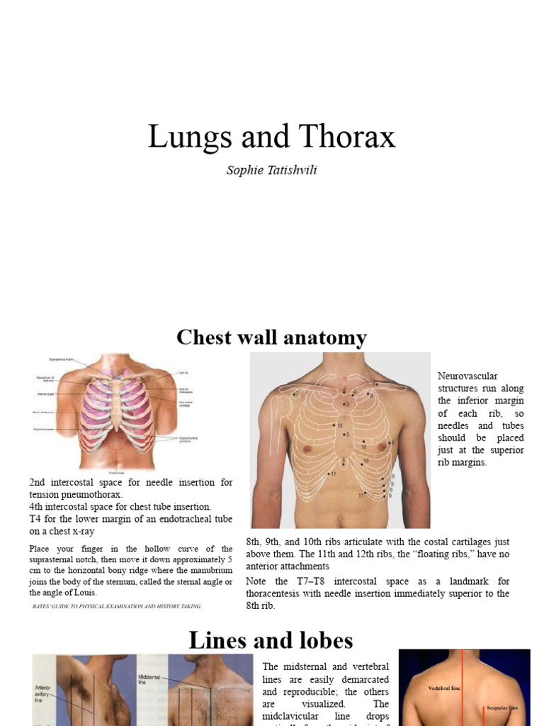 Lungs and Thorax | PDF