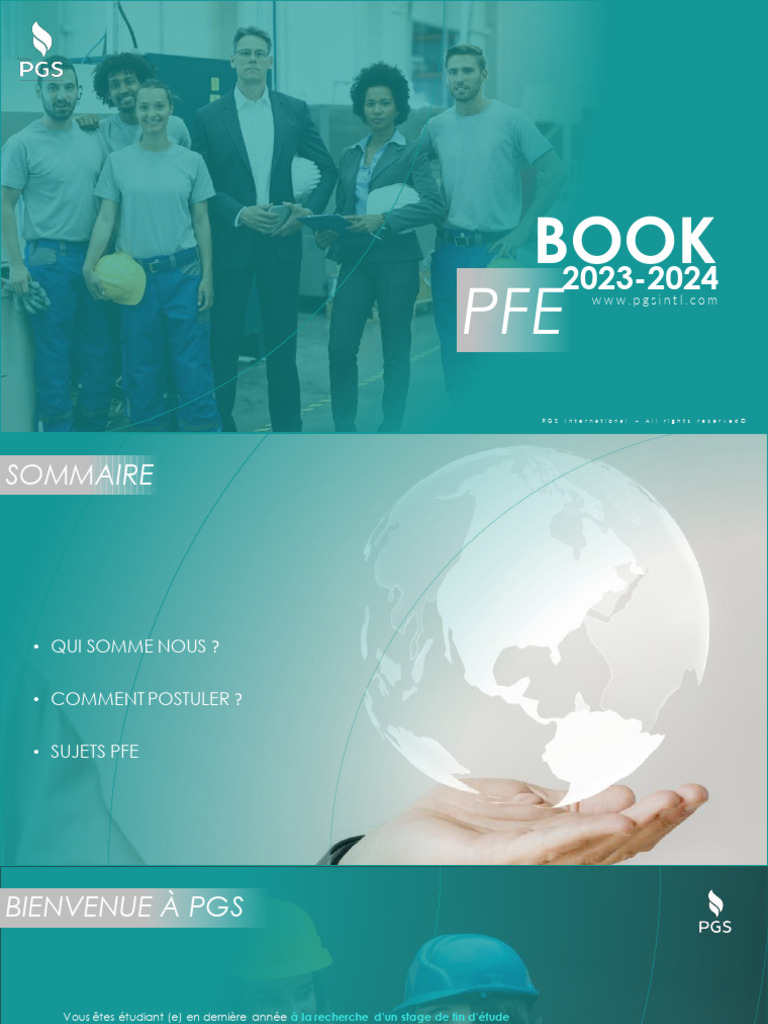 Pgs International | PDF | Interface graphique | Sciences physiques
