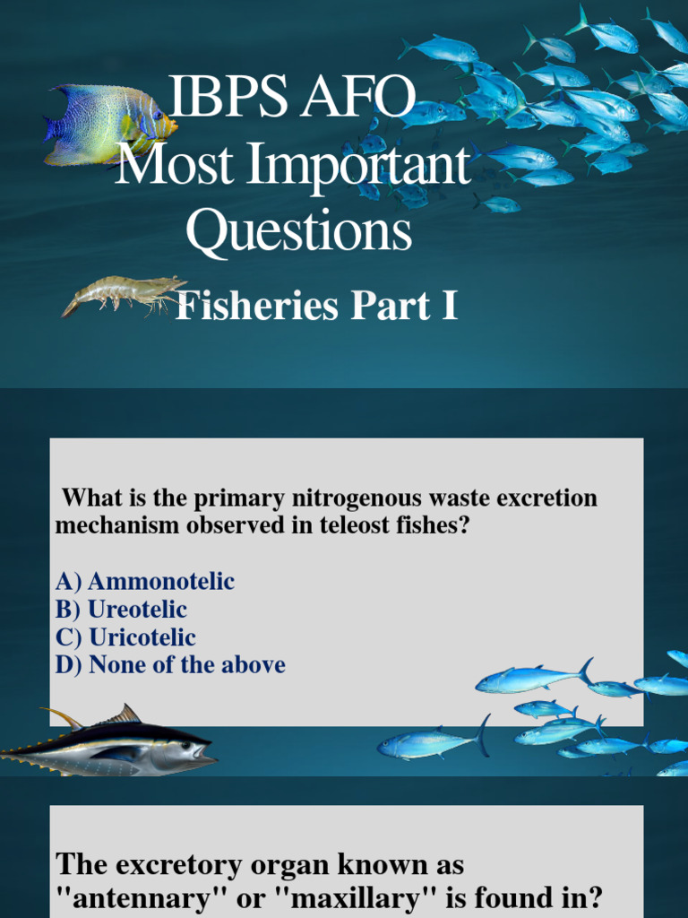 Key Fisheries Exam Questions and Answers | PDF | Home & Garden ...