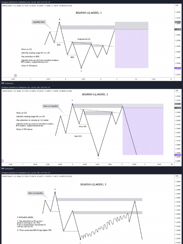 Liquidity Model | PDF